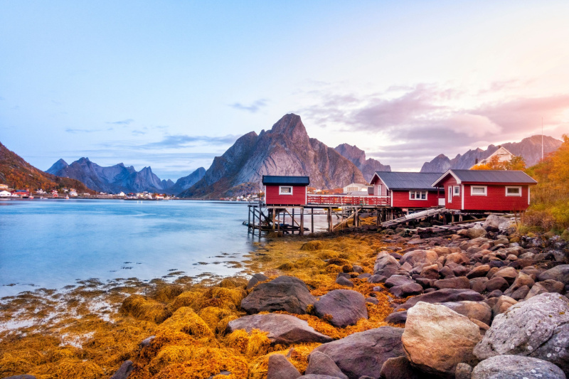 Nord Europa e Russia | Norvegia - Viaggi Dell'Elefante - Tour Operator