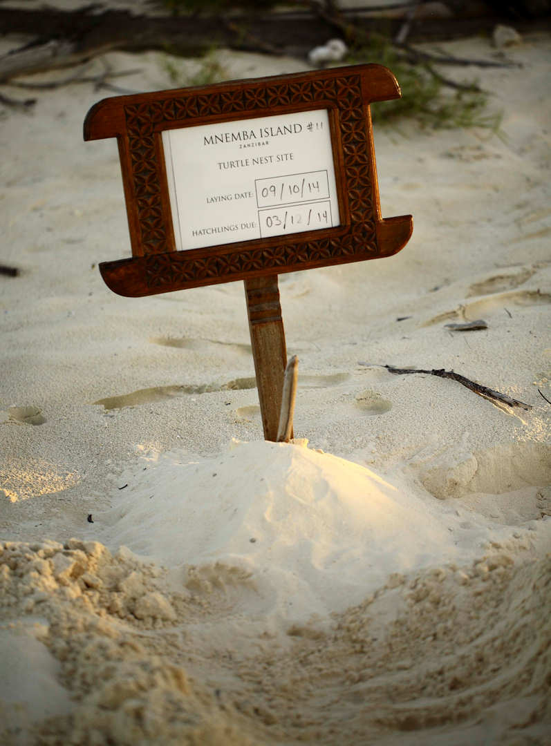 Mnemba Island | Ecoluxury Mnemba Island | Ecoluxury